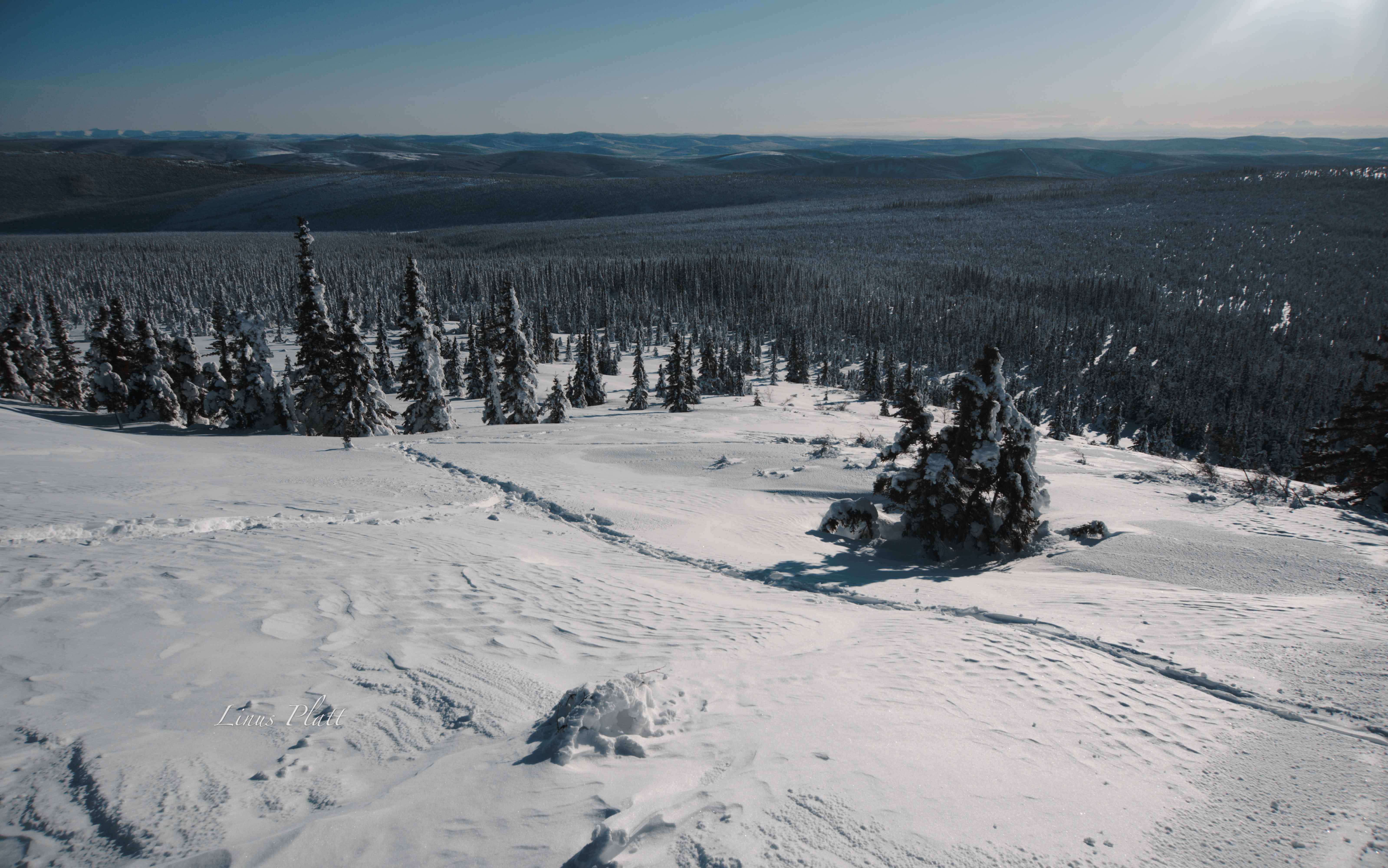 Wickersham Dome – Just Rolling By