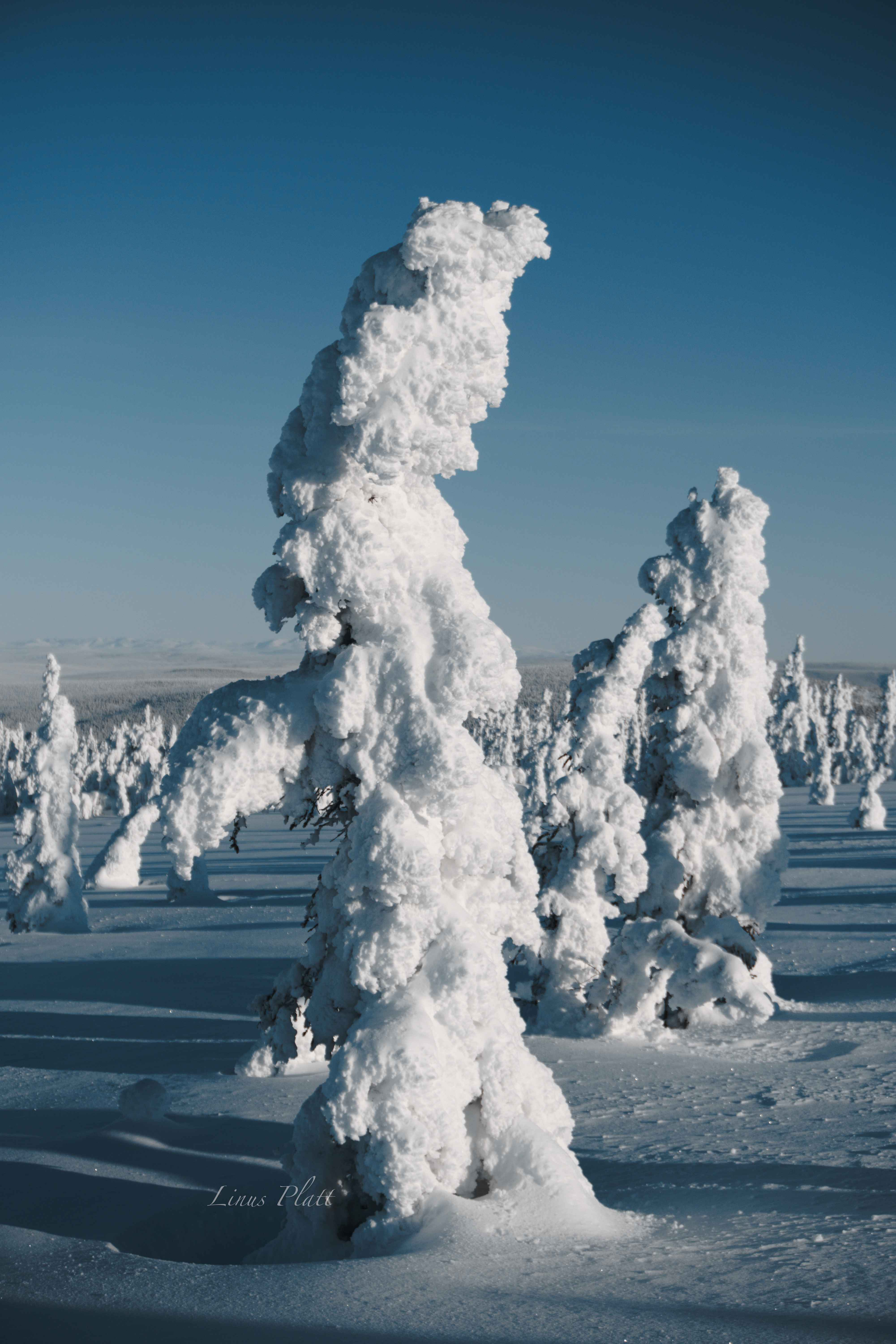 Wickersham Dome – Just Rolling By